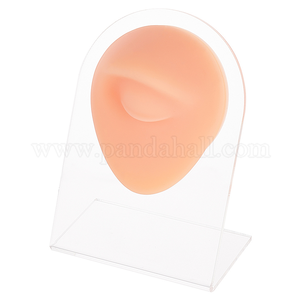 Wholesale OLYCRAFT Soft Silicone Eye Model with Acrylic Display Stands ...