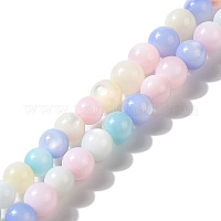 Wholesale Shell Beads for Jewelry Making - Pandahall.com