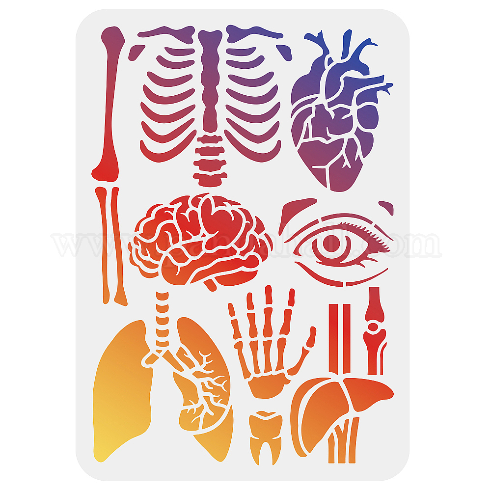 Wholesale FINGERINSPIRE Human Body Stencil 8.3x11.7 inch Plastic PET ...