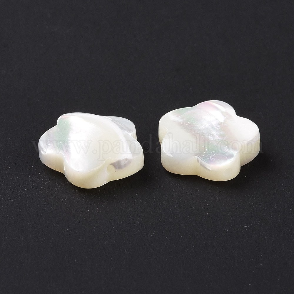 Wholesale Natural Trochid Shell/Trochus Shell Beads - Pandahall.com